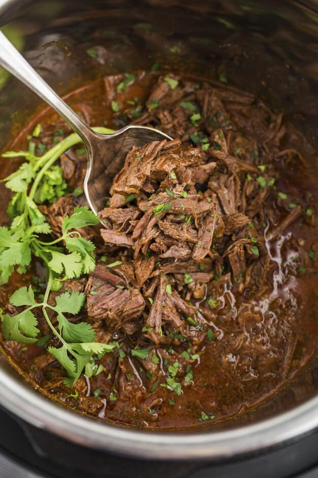 Instant Pot Barbacoa | Buns In My Oven