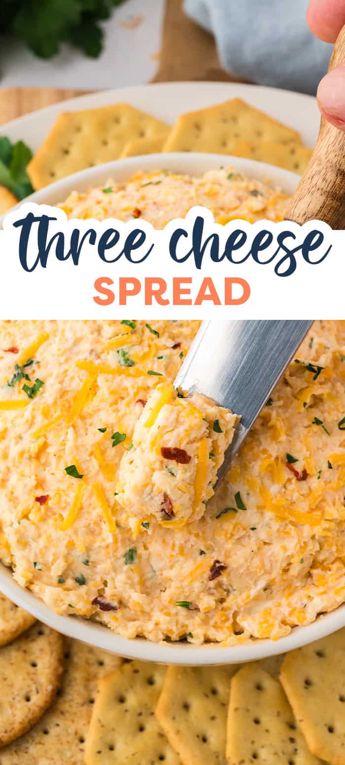 Three Cheese Spread - Perfect for dipping! | Buns In My Oven