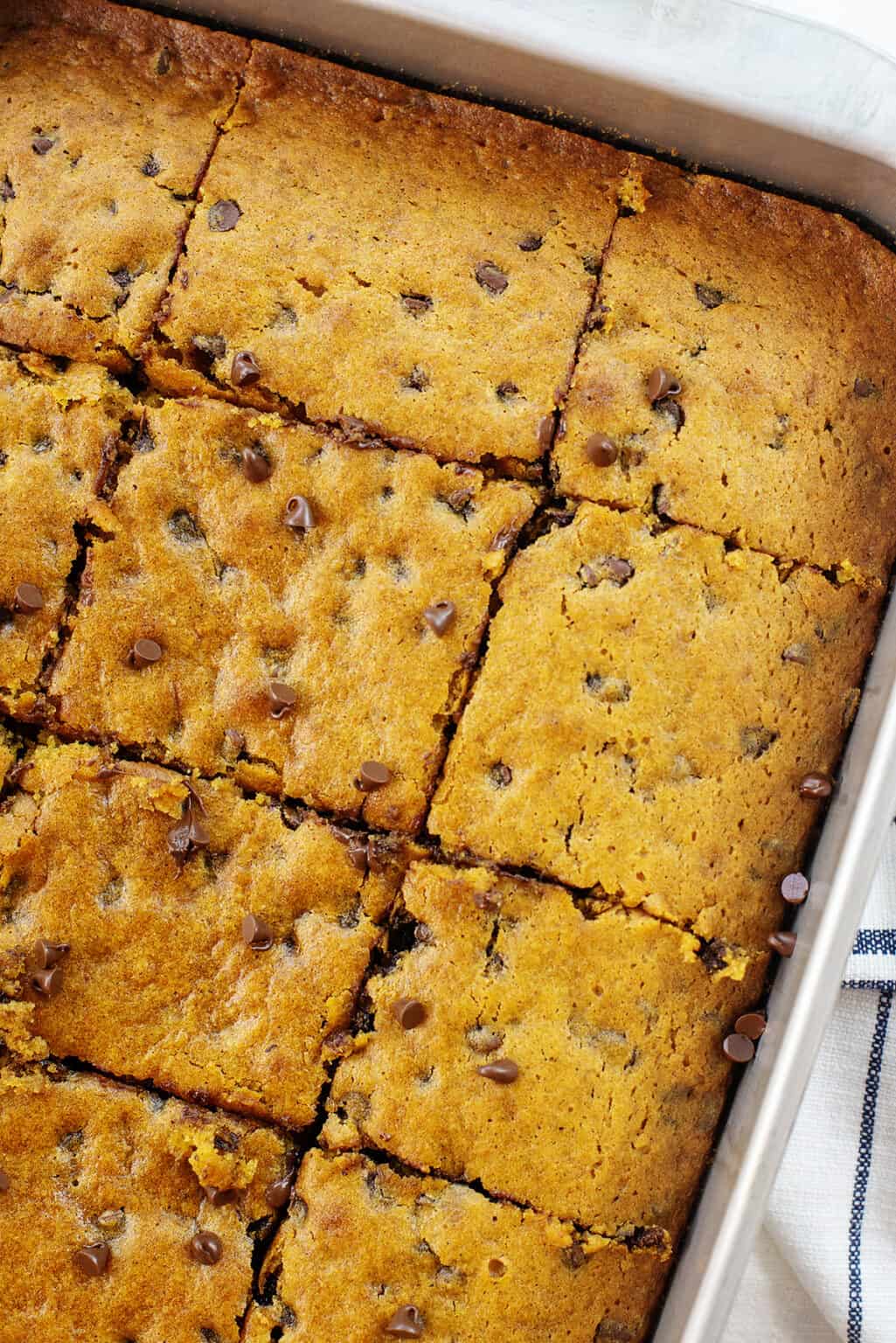 Pumpkin Chocolate Chip Cake Recipe | Buns In My Oven