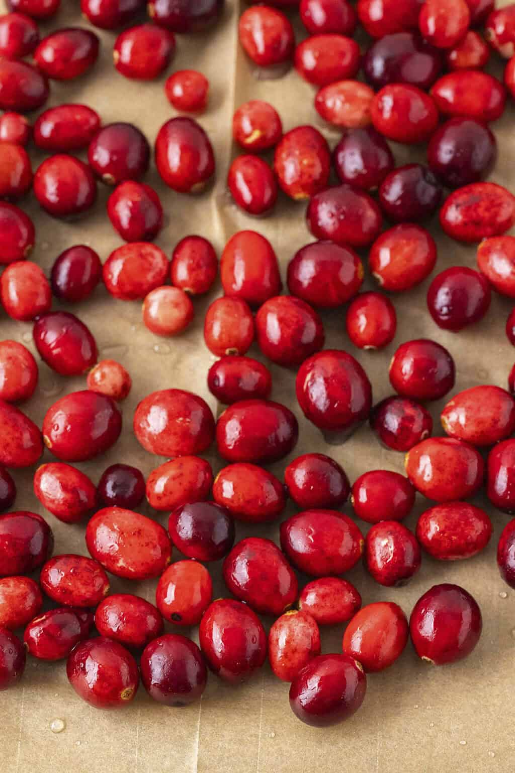 Easy Sugared Cranberries Recipe | Buns In My Oven